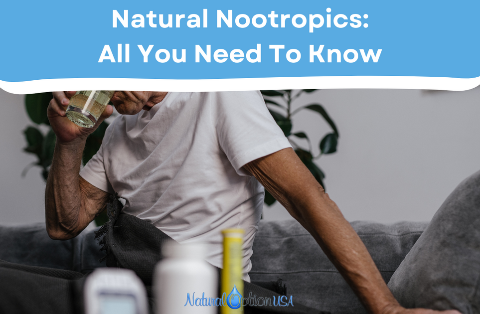 Natural Nootropics: All You Need to Know – Natural Option USA