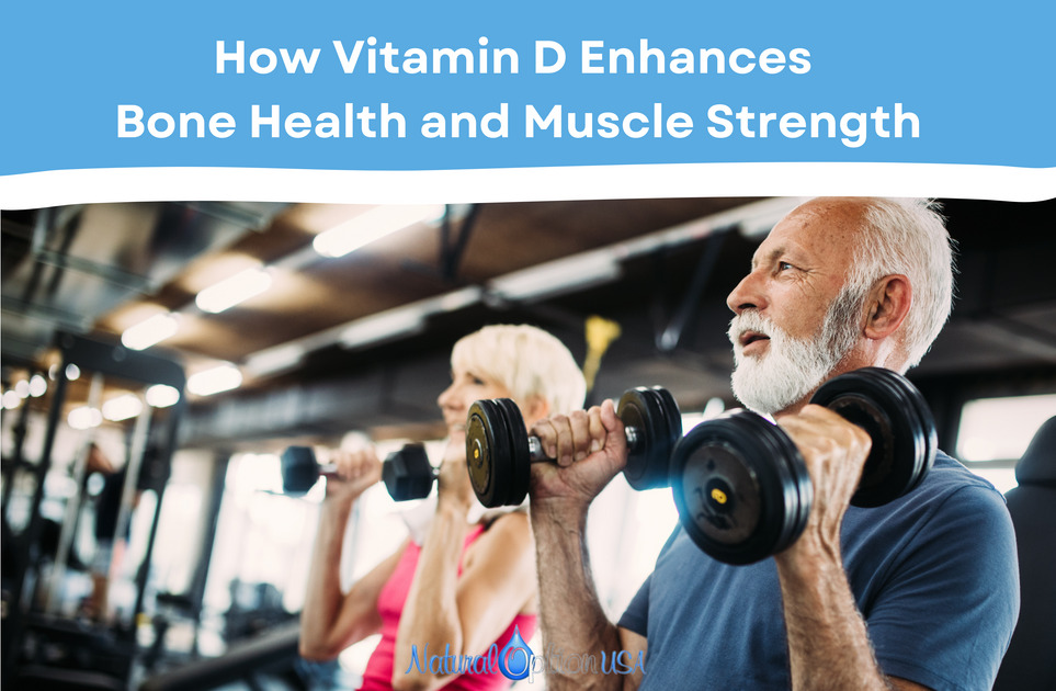 How Vitamin D Enhances Bone Health and Muscle Strength – Natural Option USA